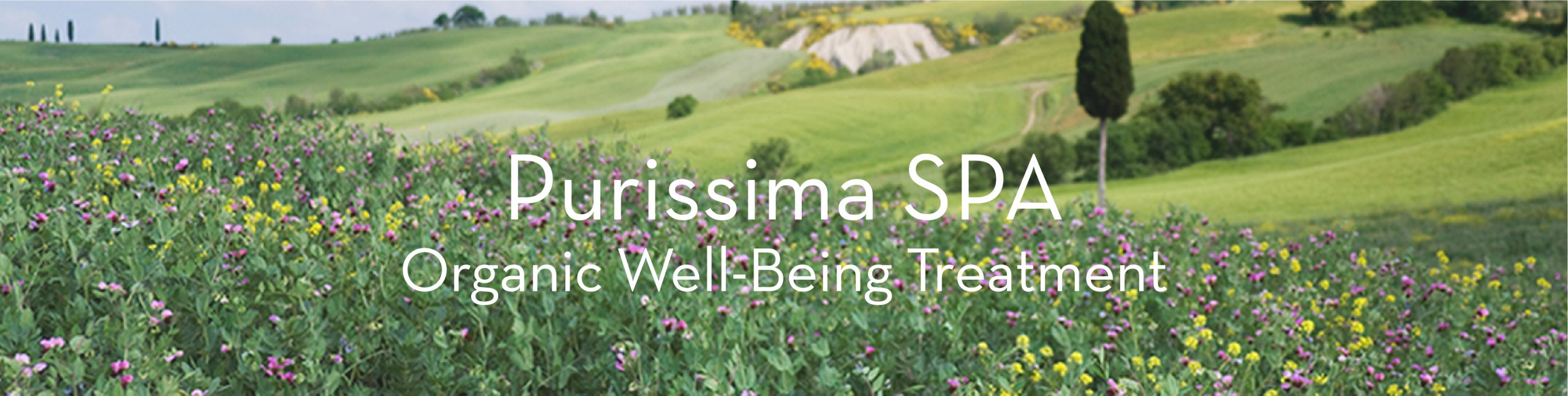 Purissima Spa Pedicure Line - Bodipure Professional Spa Products